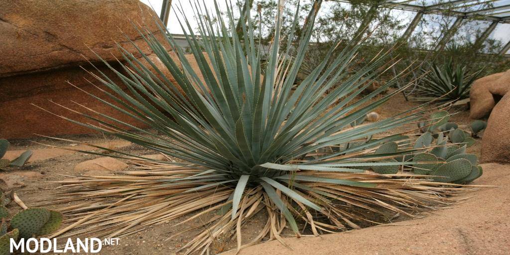 Little Map 17 v 1.0 - FS 17