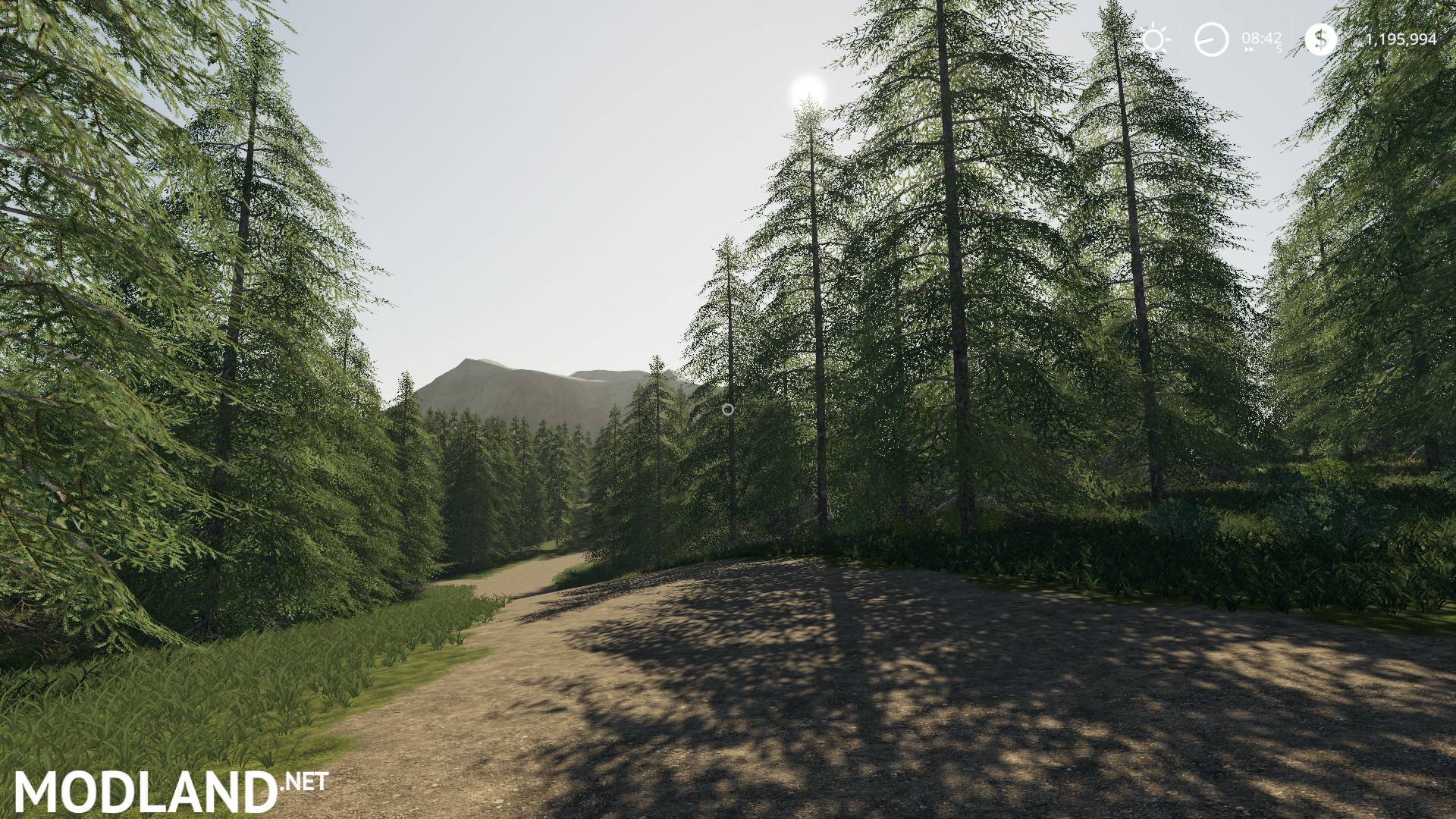 Boulder Canyon Logging Map - FS 19