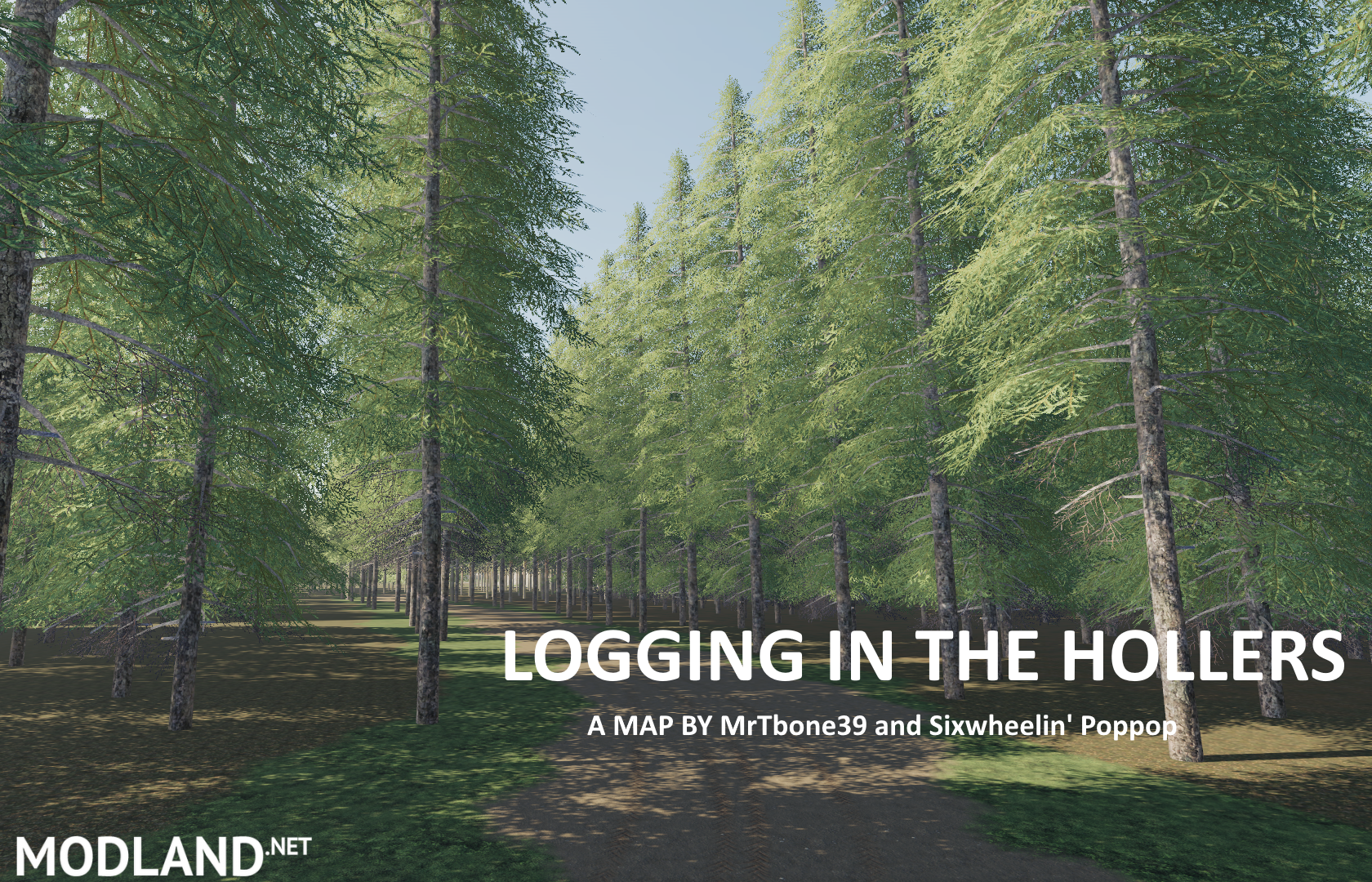 Logging In The Hollers - FS 19