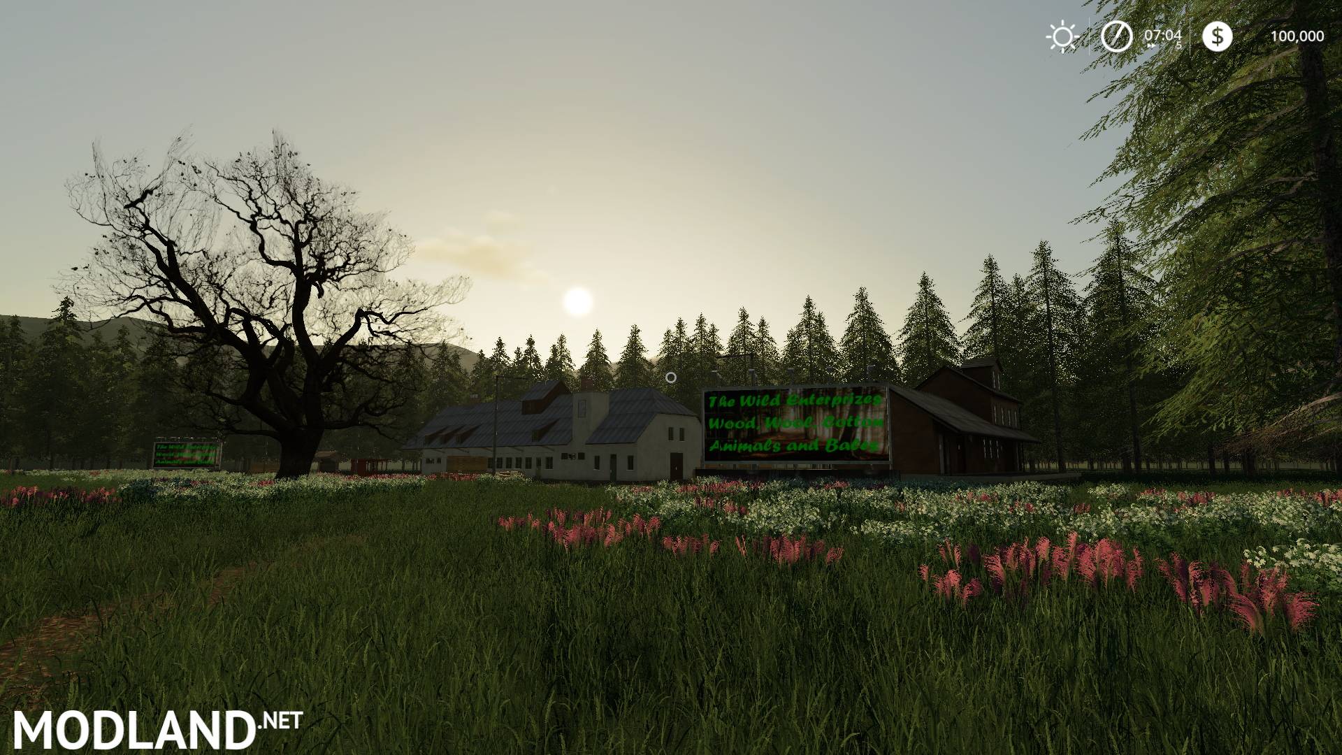 The Wild v.002 - FS 19