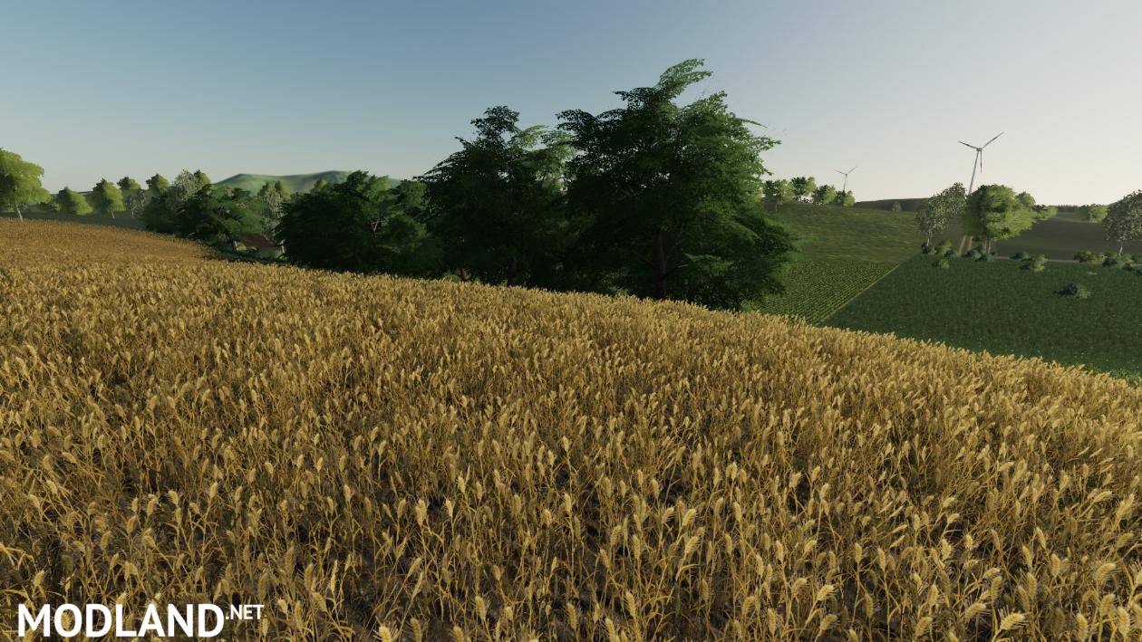 Dolina Kwiatow Map v 1.1 - FS 19