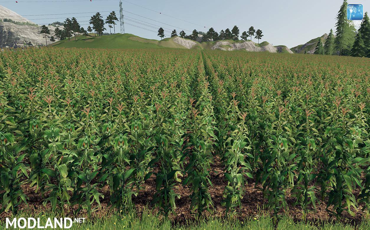 Forgotten Plants - Maize v 1.0 - FS 19